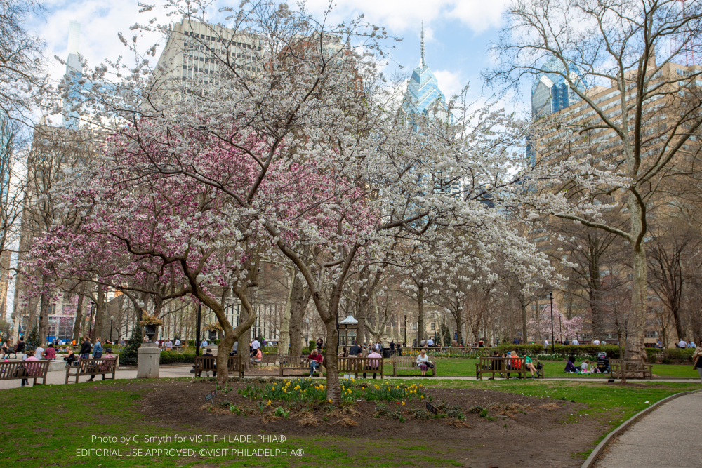 Our Neighborhood | 1500 Market Street | Office Spaces in Center City